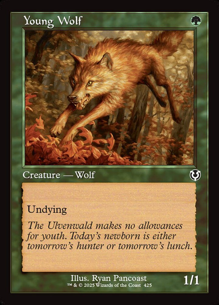 Jungwolf: Magic: The Gathering Einzelkarte kaufen - SpielRaum