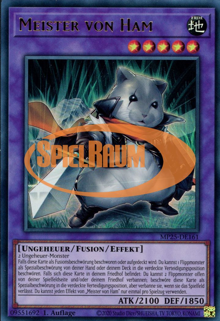 Meister von Ham: Yu-Gi-Oh! Karte kaufen - SpielRaum